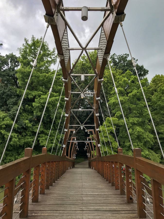 Wooden Bridge in the Forest Stock Image - Image of park, metal: 202291921
