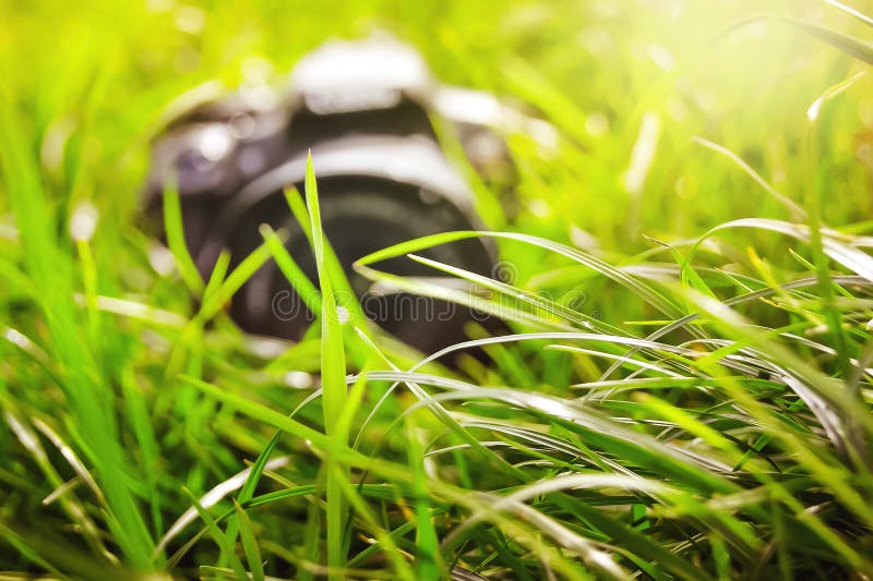 Modern Digital Camera in Grass. Pause while Photographing during Travel ...
