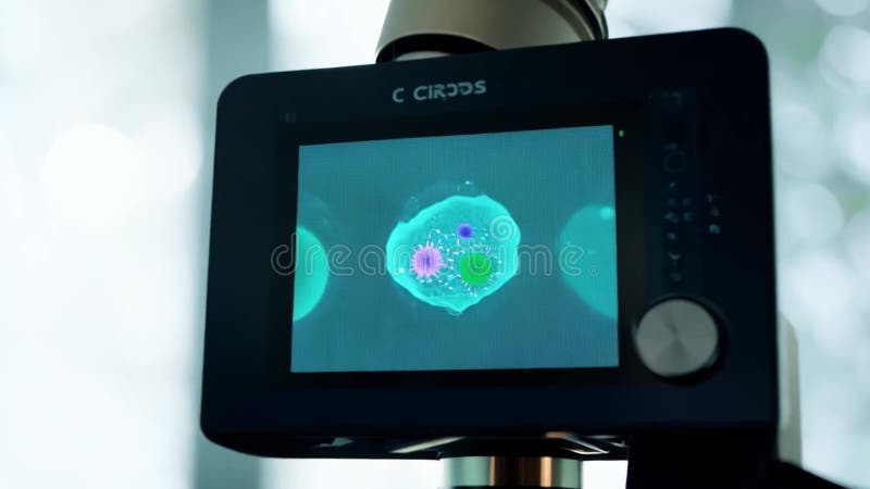 A Modern Digital Microscope Shows a Close Up of a Cell Specimen in a ...