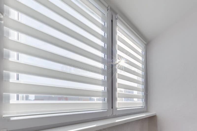 Modern Double Roller Zebra Blinds on Large Windows in Bright Minimalist ...