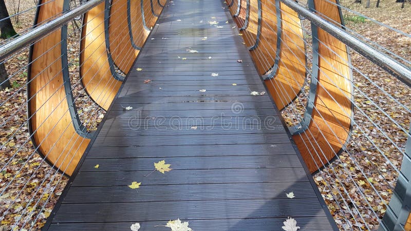 Driveway in the park stock photo. Image of lamp, public - 9219968