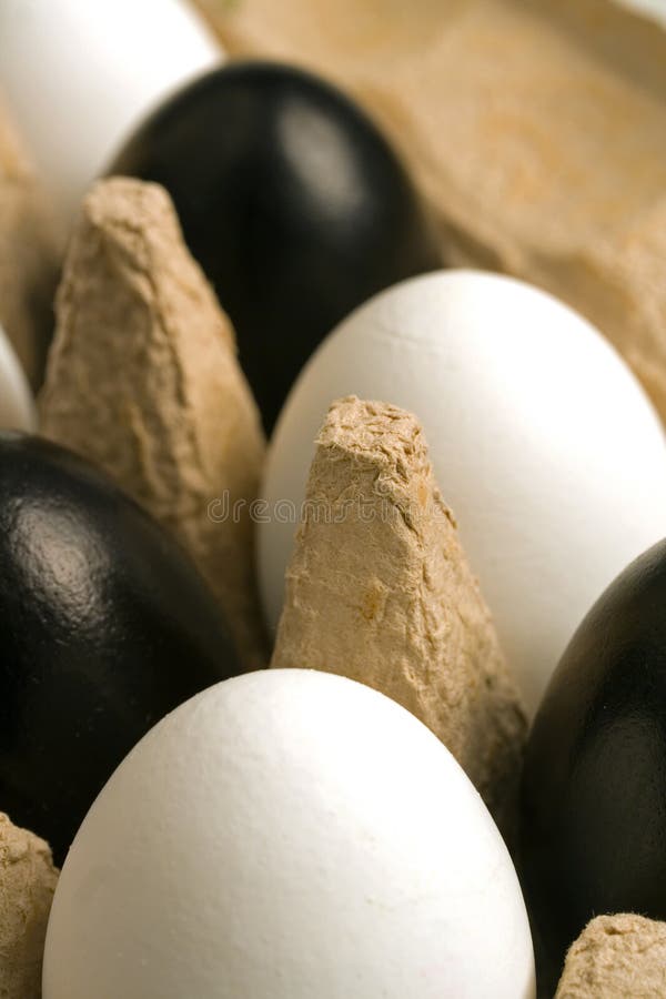 Modern easter decoration stock photo. Image of brown - 13148038