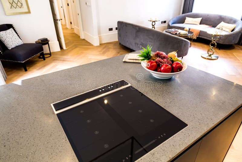 Modern Electronic Hob stock photo. Image of indoor, clean - 68328752