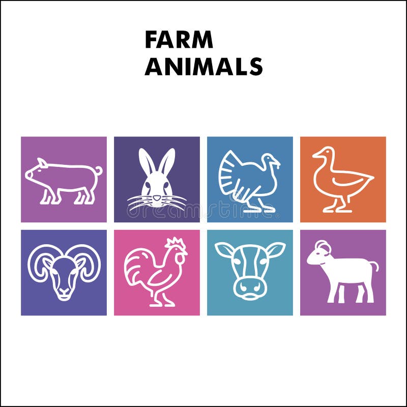 Modern Farm Animals Infographic Design Template. Domestic Animal ...