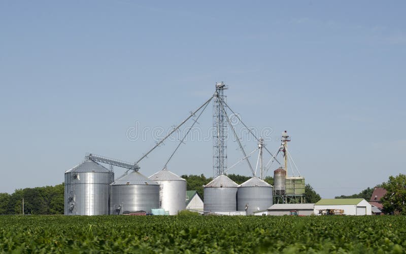 Modern Farm Building stock image. Image of farming, chicken - 16308913
