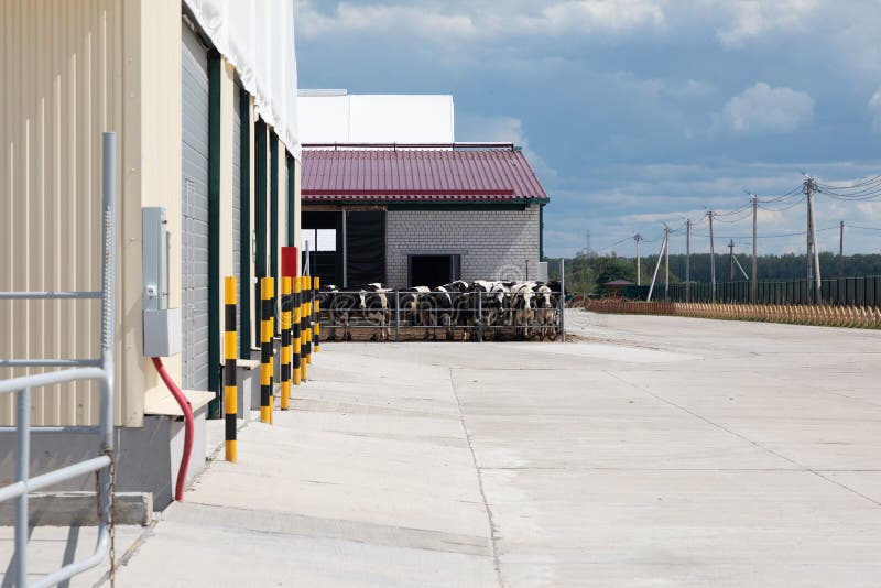 Modern Farm Building with a Platform of Concrete in Front of it Stock ...