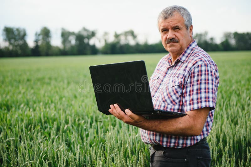 Modern Farmer Checking His Wheat Field and Working on Laptop Computer ...