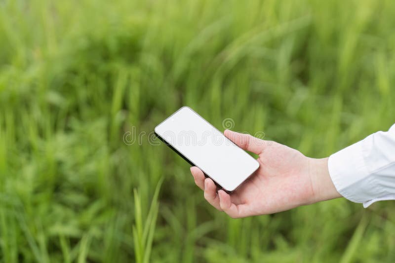 Modern Farmer Using Smartphone Technology in Green Field for Efficient ...