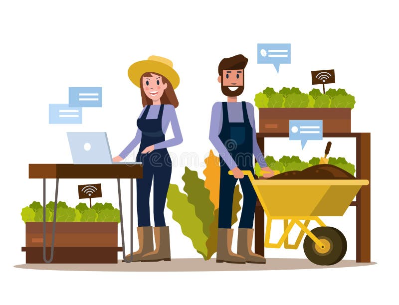 Smart Farmer Using Tablet To Monitor and Control Chicken Farm. Stock ...