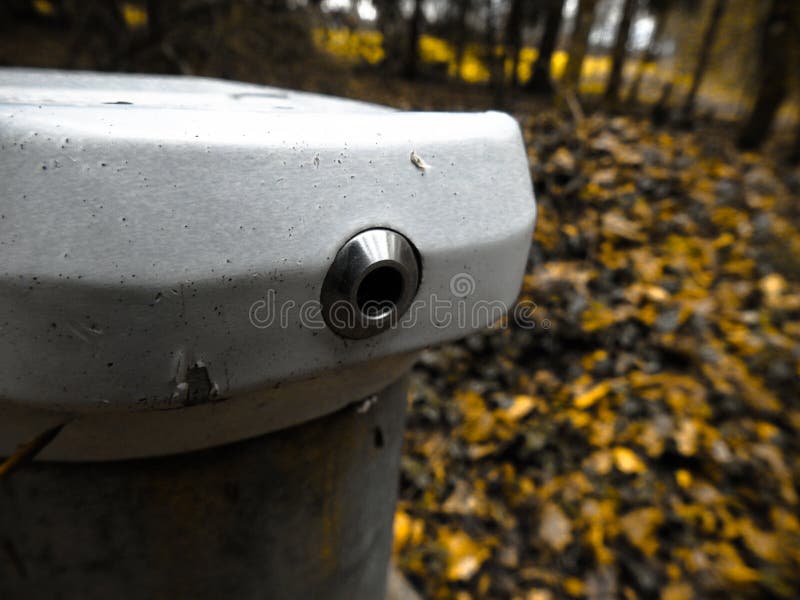 Modern Fire Hydrant in the Middle of the Forest Stock Image - Image of ...