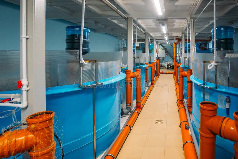 Modern Fish Farm with Closed Water Circulation Supply Stock Photo ...