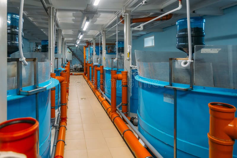 Modern Fish Farm with Closed Water Circulation Supply Stock Image ...