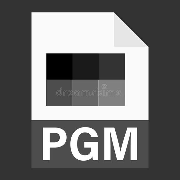 Modern Flat Design of PGM File Icon for Web Stock Vector - Illustration ...
