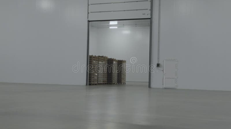 Modern Food Warehouse. Modern Warehouse for Food Stock Video - Video of ...