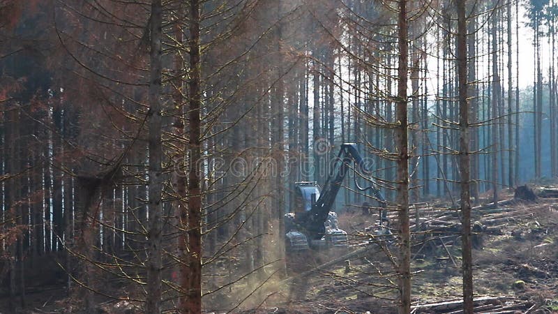 Modern Forest Harvester Machine at Work in a Dead Forest Stock Footage ...