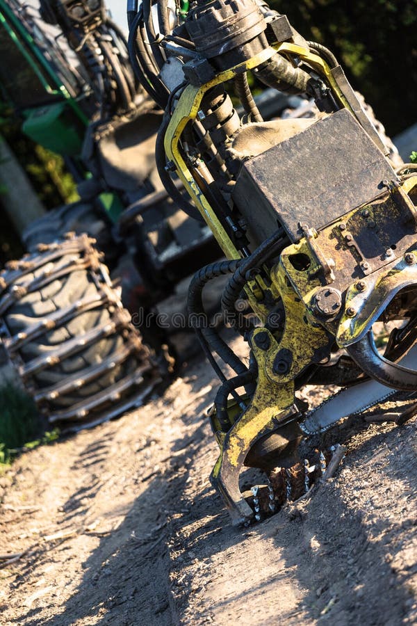 Modern Forest Machine in the Forest Stock Image - Image of machine ...