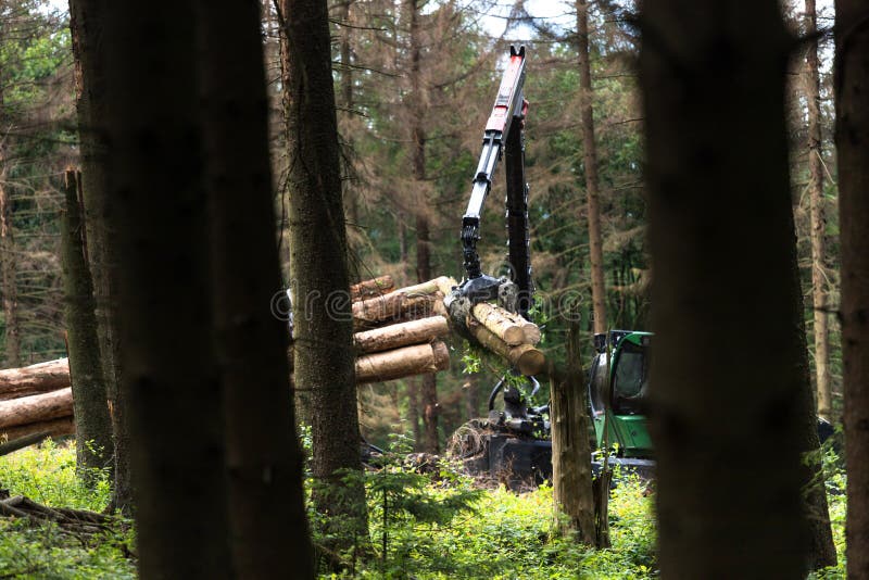 Modern Forest Machine when Felling Trees Stock Image - Image of action ...