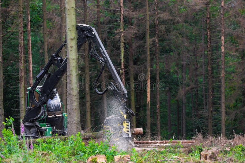 Modern Forest Machine when Felling Trees Stock Image - Image of beetle ...