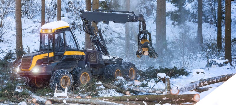 A Forestry Machine Loads a Log Truck at the Site Landing. Forest ...