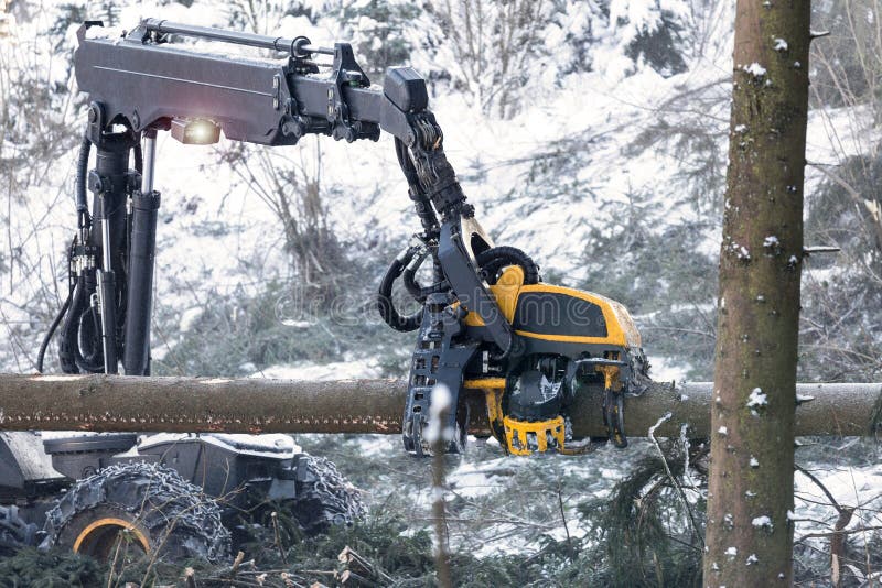 Modern Forestry Machine in a Winter Forest Stock Image - Image of ...
