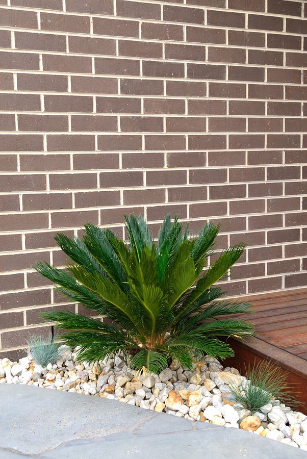 Modern Front Yard Design Ideas Stock Image - Image of flower, natural ...