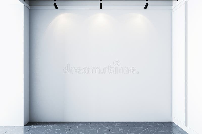 Modern Gallery Interior with Blank White Wall and Spotlights. 3D ...