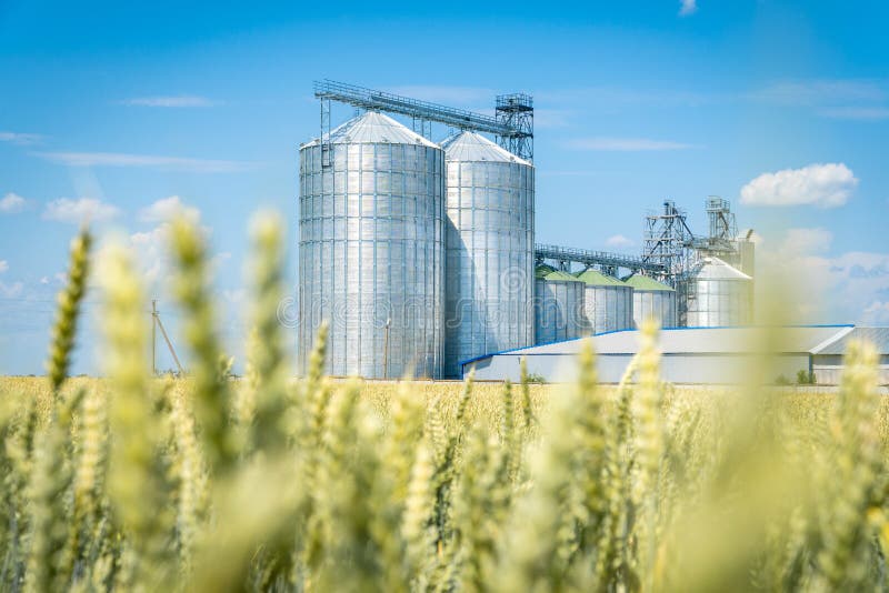 Modern Grain Silos on a Traditional Mid-west Farm Stock Photo - Image ...