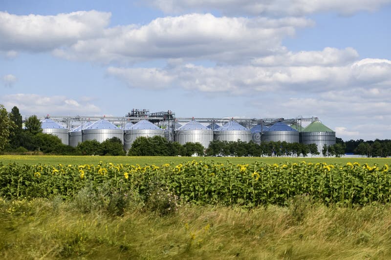 Modern Grain Silos on a Traditional Mid-west Farm Stock Photo - Image ...