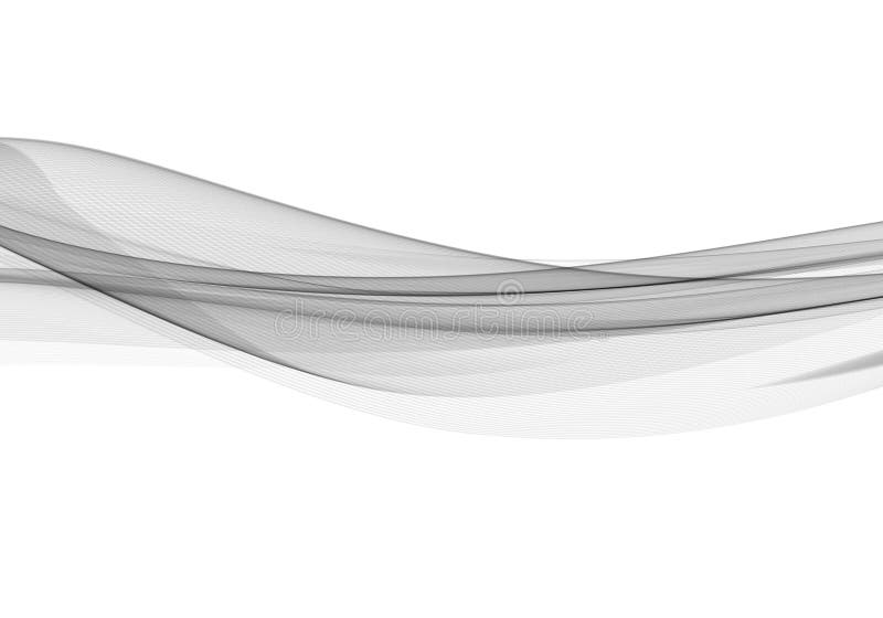Modern Gray Line Flowing Wave Background Stock Illustration ...