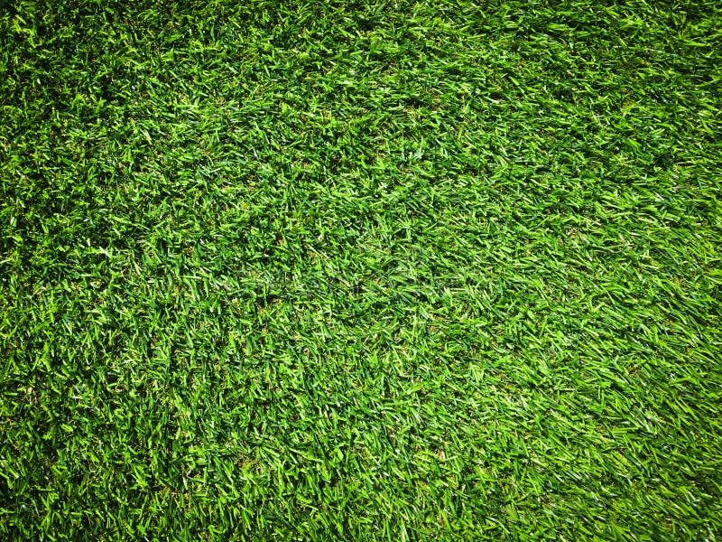 Modern Green Lawn Texture Background. Wallpaper for Work and Design ...