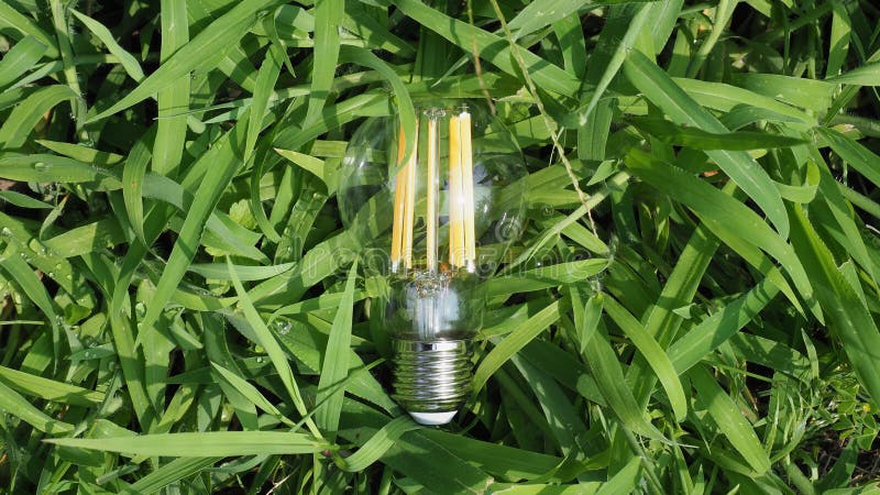Modern Green Led Bulb in the Grass Stock Image - Image of saving, green ...