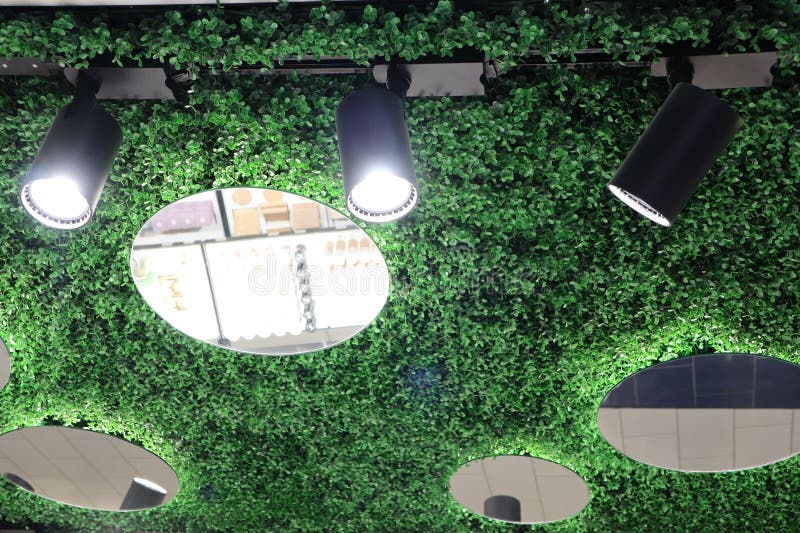 Modern Greenery Ceiling Design with Spotlights a Chic and Fresh Take on ...