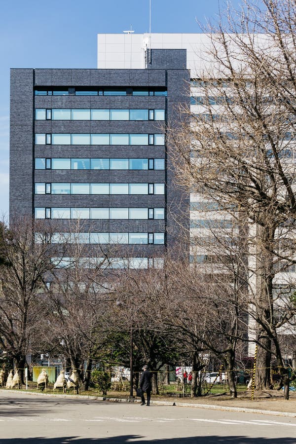 Modern Grey Building Has Rectangle and Square Windows Form with Clear ...