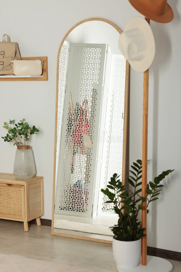 Modern Hallway Room Interior with Large Mirror and Beautiful Plants ...