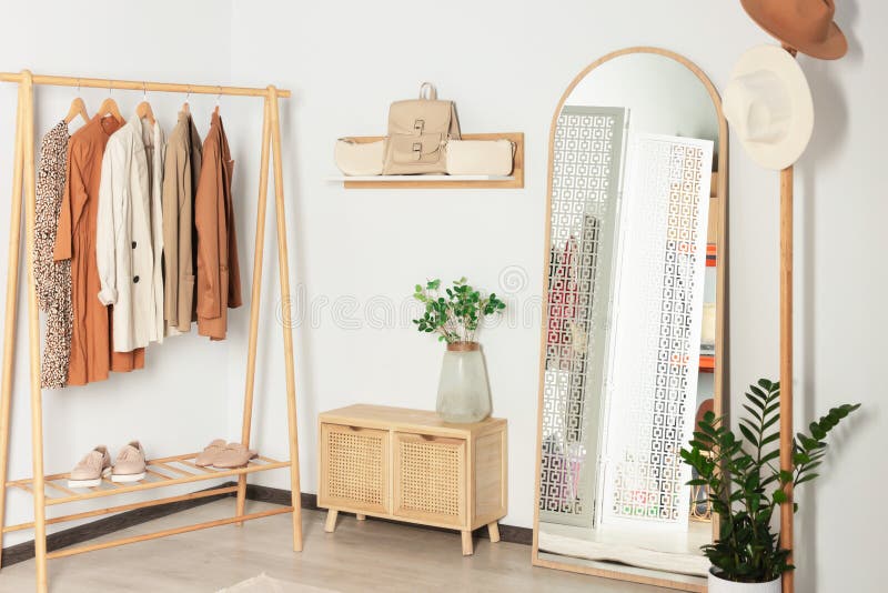 Modern Hallway Room Interior with Large Mirror and Clothing Rack Stock ...