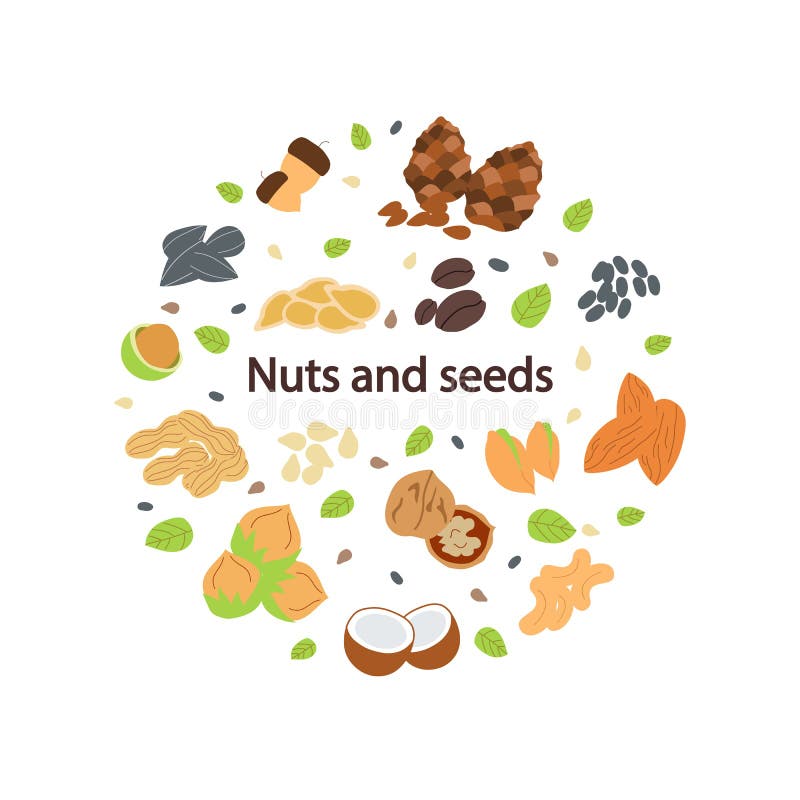 Different Nuts Set. Sketch Style Hand Drawn Nuts. Peeled and with ...