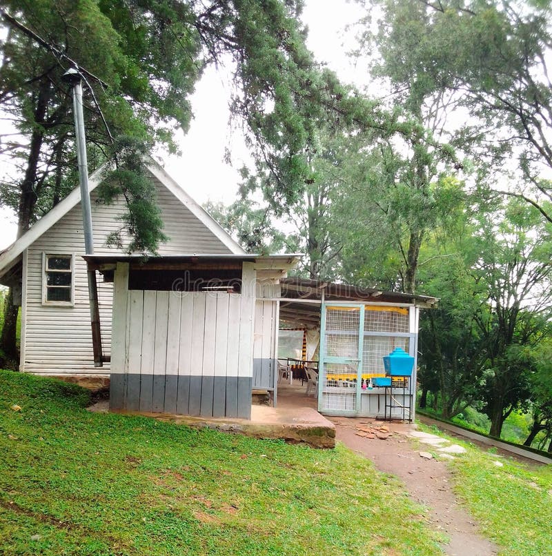 Modern Homestead Near Mau Forest Stock Photo - Image of homestead ...