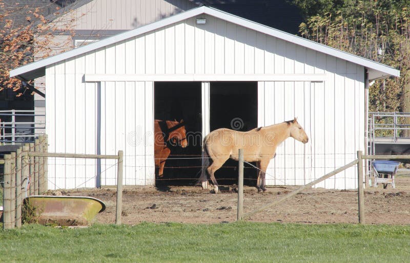 Modern Horse Barn or Stable Stock Image - Image of building, front ...