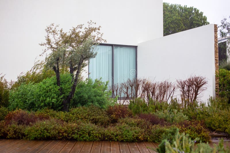 Modern House Exterior with Garden and Plants. Nobody Inside, Front View ...