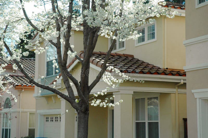 Modern Housing in Springtime Stock Photo - Image of luxury, dwelling ...