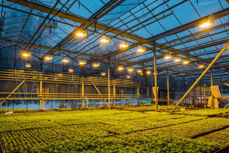 Modern Hydroponic Greenhouse with Complex Climate Control System for ...