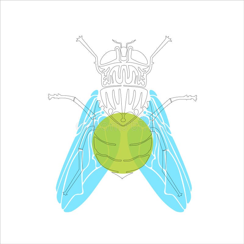 Buzzing Fly Illustration Stock Illustrations – 262 Buzzing Fly ...