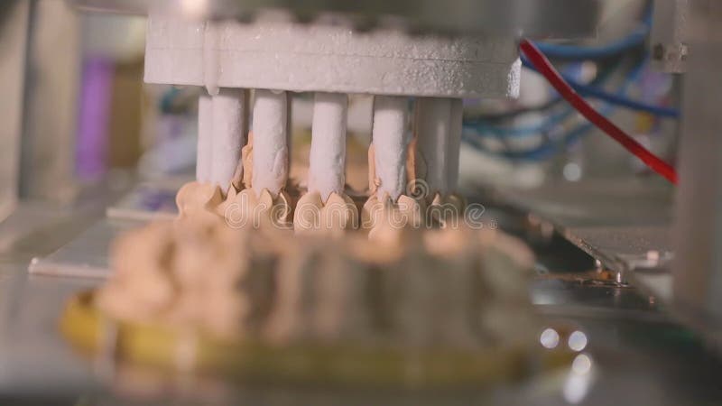 Modern Ice Cream Factory. Automatic Conveyor for the Production of Ice ...