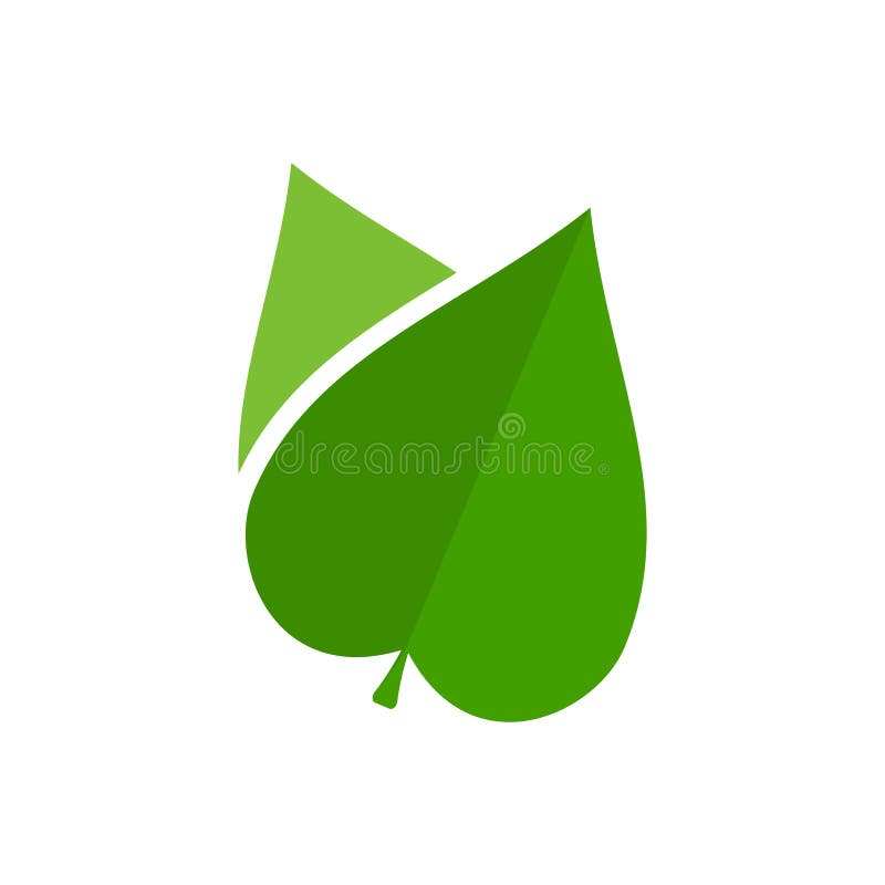 Betel Leaf stock vector. Illustration of hindu, mystery - 3478032