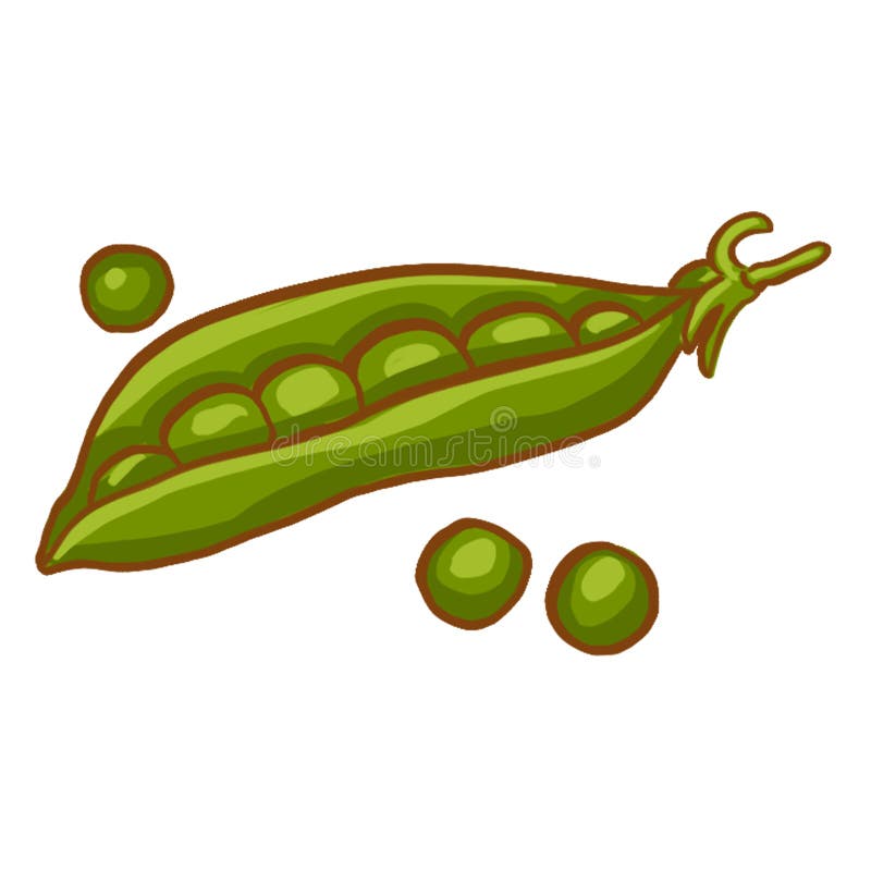Icon Peas Line Symbol. Vector White Illustration Stock Vector ... Icon Peas Line Symbol. Vector White Illustration Stock Vector ...