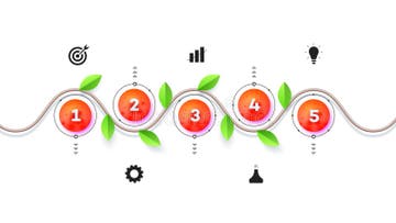 Organic Timeline Stock Illustrations – 1,723 Organic Timeline Stock ...