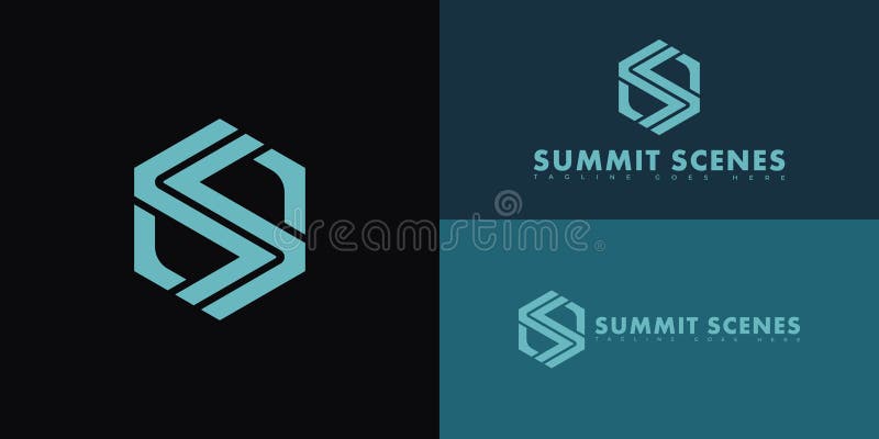 Modern Initial Hexagon Vector Letter S or SS Logo in Blue Color ...