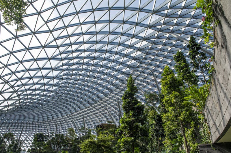 Modern Interior Design with Trees Inside the Terminal Building ... Modern Interior Design with Trees Inside the Terminal Building ...