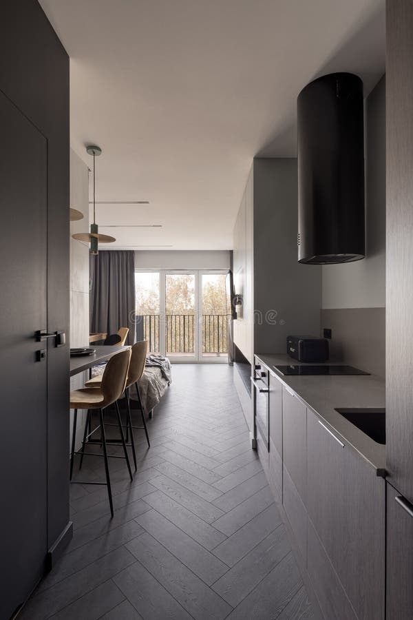 Modern Kitchen in Studio Apartment Corridor Stock Photo - Image of ...
