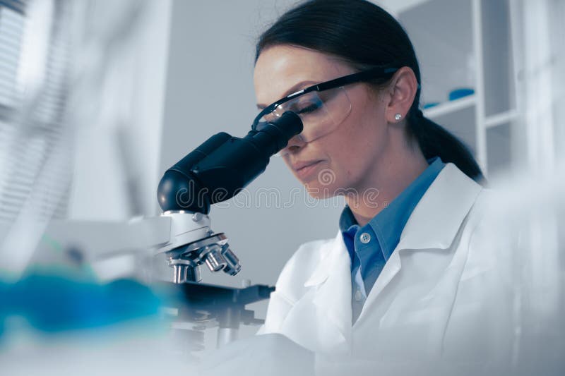 In a Modern Lab, a Dedicated Scientist Observes Biological Specimens ...